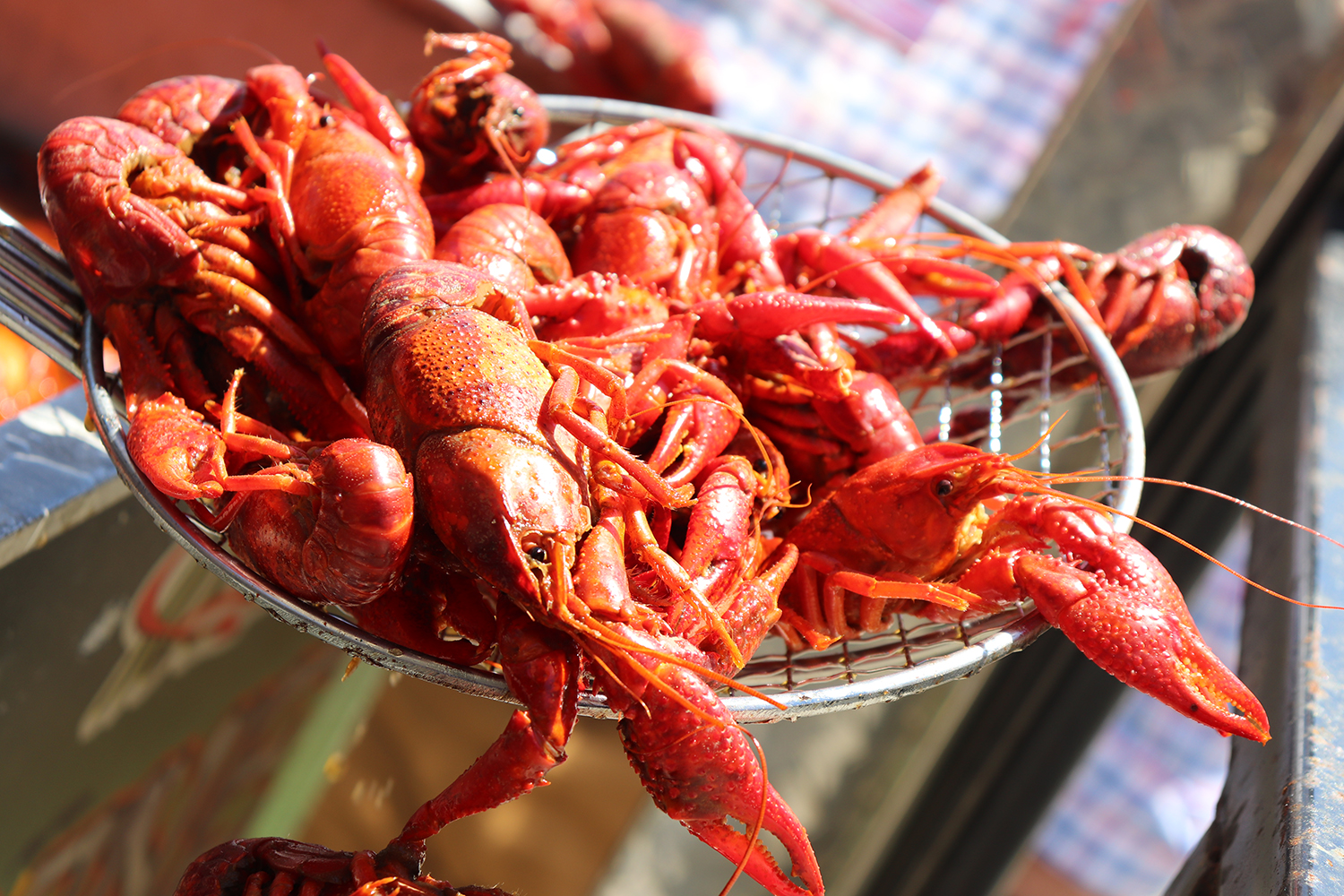 News - St. Tammany Health System - St. Tammany Health System