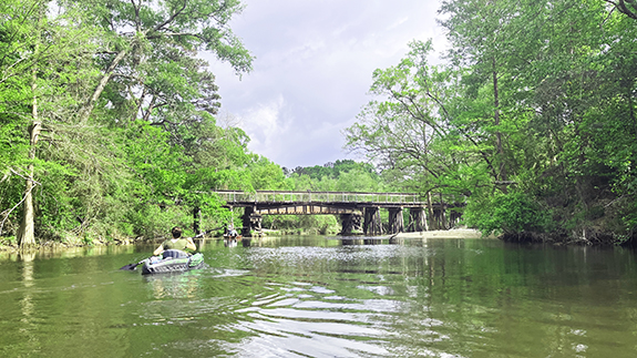 News - St. Tammany Health System - St. Tammany Health System