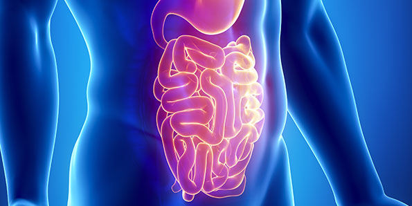 STHS Hospital Services - St. Tammany Health System