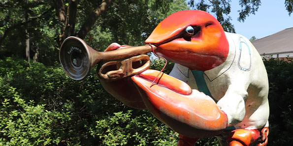 STHS Mandeville Diagnostic Center - St. Tammany Health System